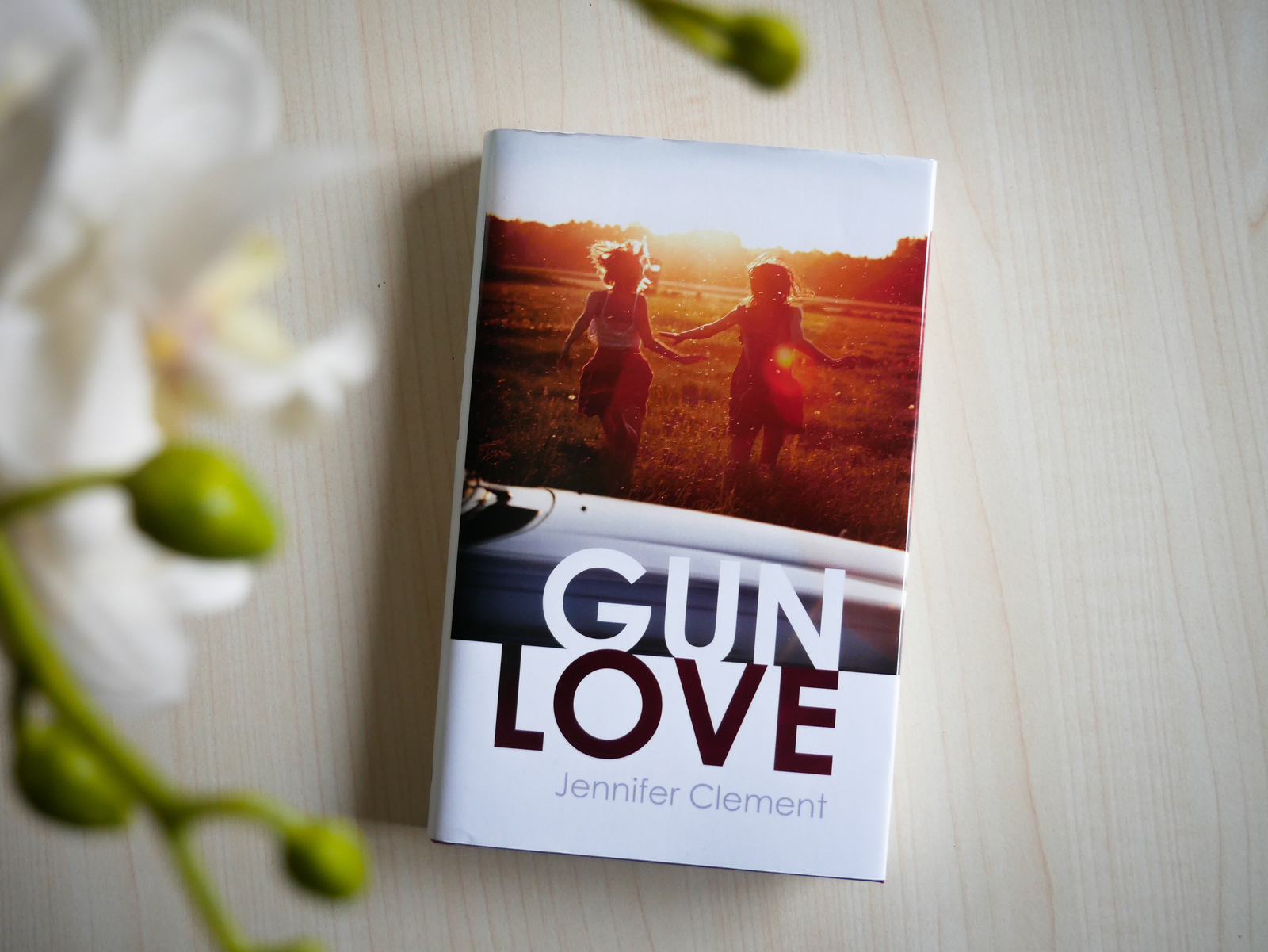 "Gun Love" von Jennifer Clement - Buch & Wort