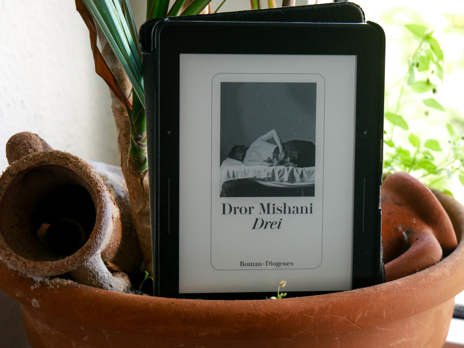 "Drei" von Dror Mishani - Buch & Wort
