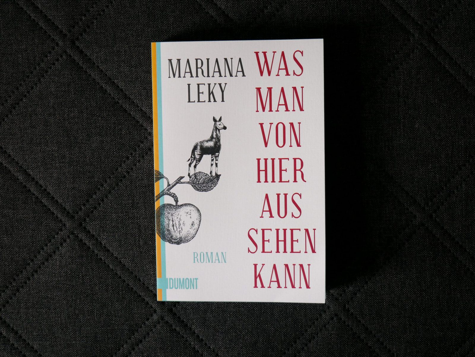 "Was man von hier aus sehen kann" von Mariana Leky - Buch & Wort